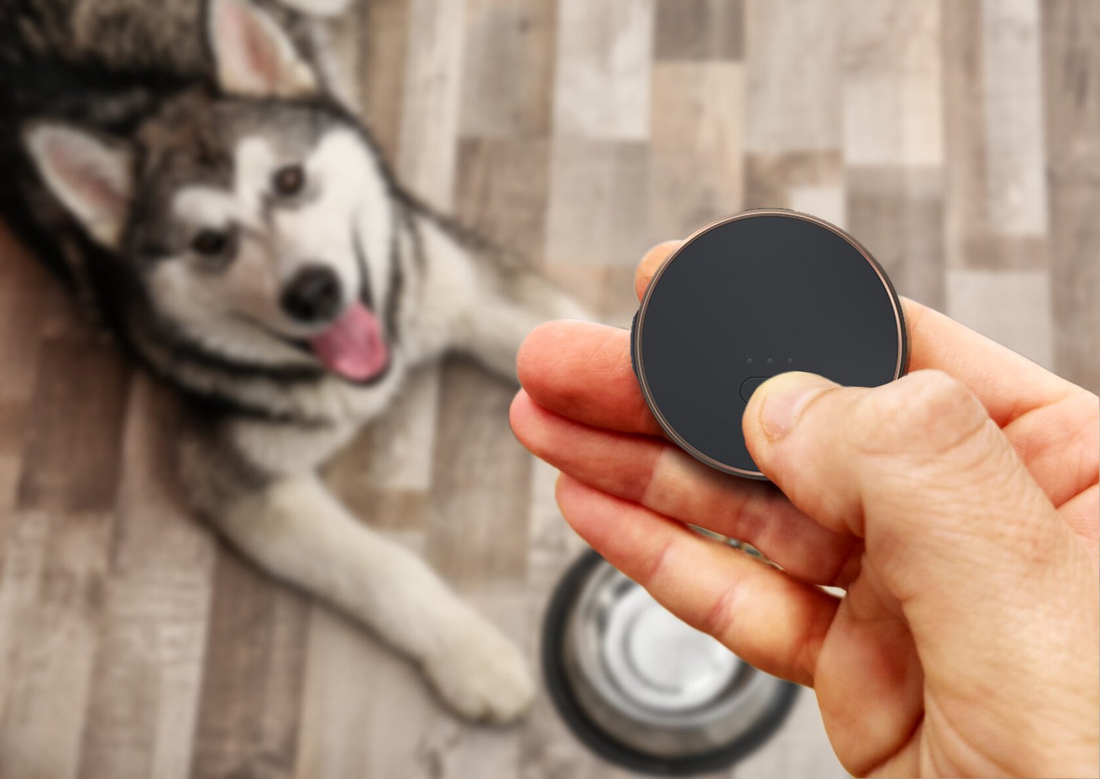 Trackimo Home - Canada’s Top GPS Trackers